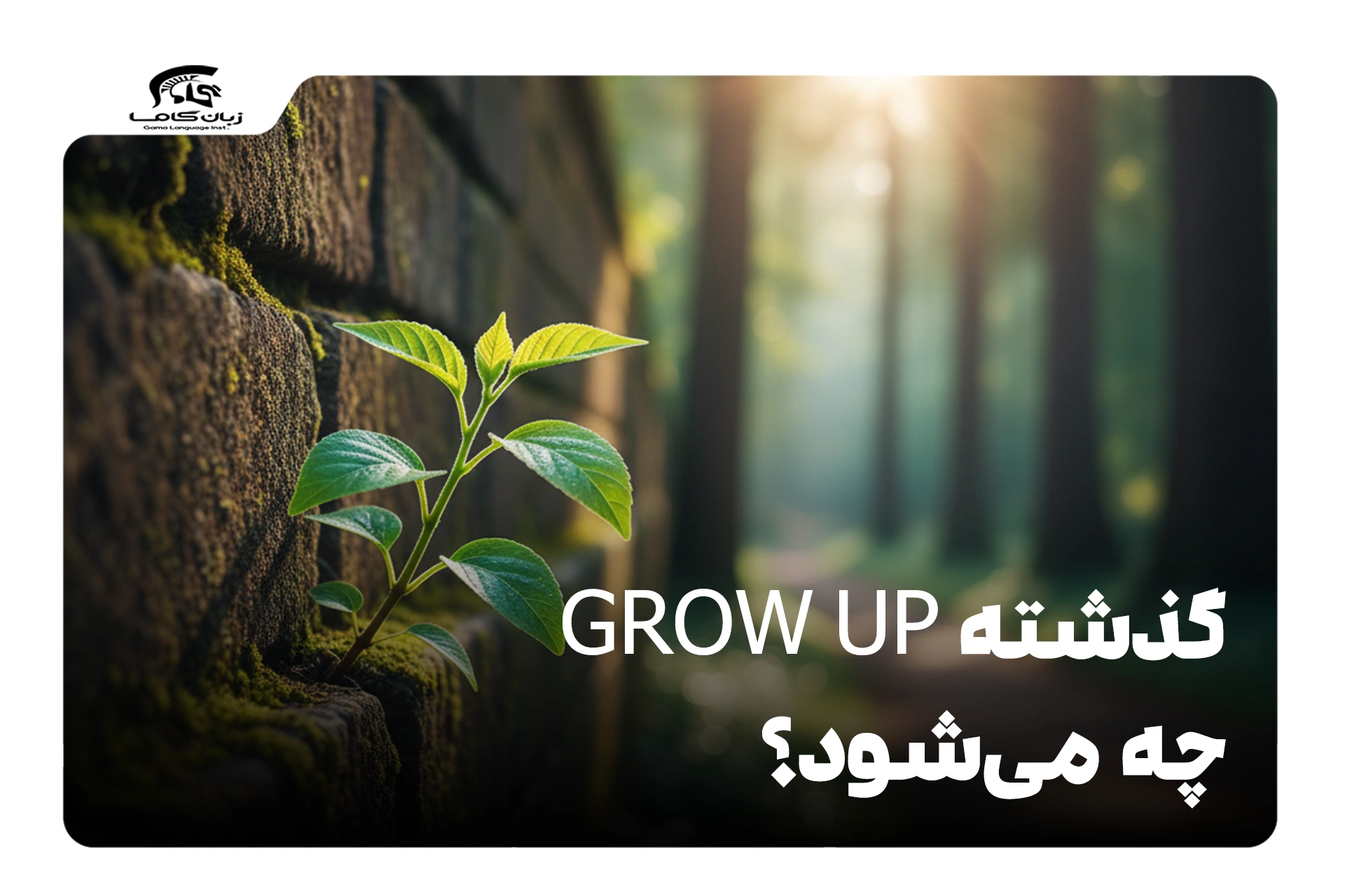 گذشته grow up چه می‌شود؟ صرف و کاربرد فعل در زمان‌های مختلف - گاما تبریز